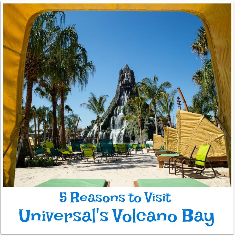 5 Reasons to Visit Volcano Bay